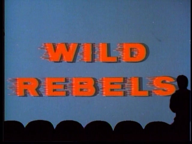 MST3K: The Wild Rebels