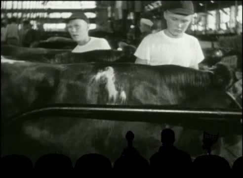 MST3K: Code Name: Diamond Head | RiffTrax